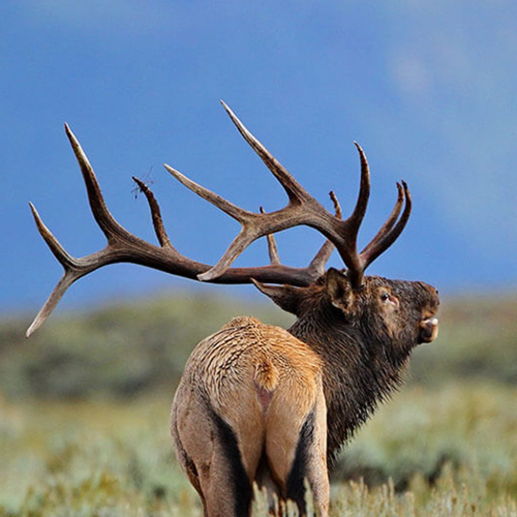 Official Eagle Colorado Adventure Guide | EagleOutside.com